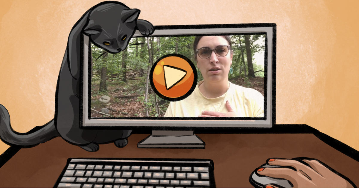 Questions About Getting an Echocardiogram | Heart-Failure.net